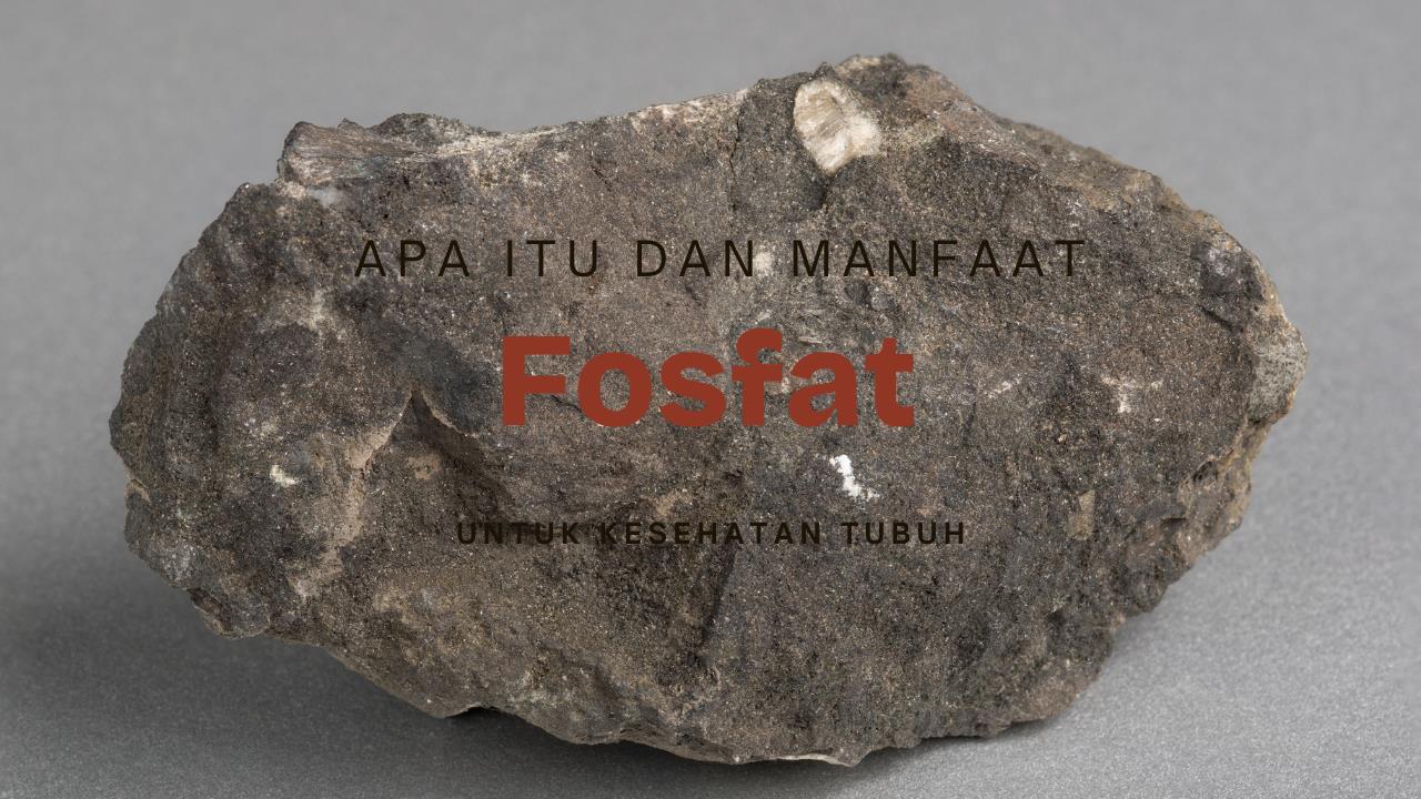 Fosfat dan Manfaatnya untuk Kesehatan Tubuh - MindSite.id